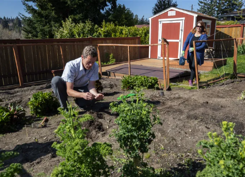 Choosing the Right Seeds for your Garden: Factors to Consider